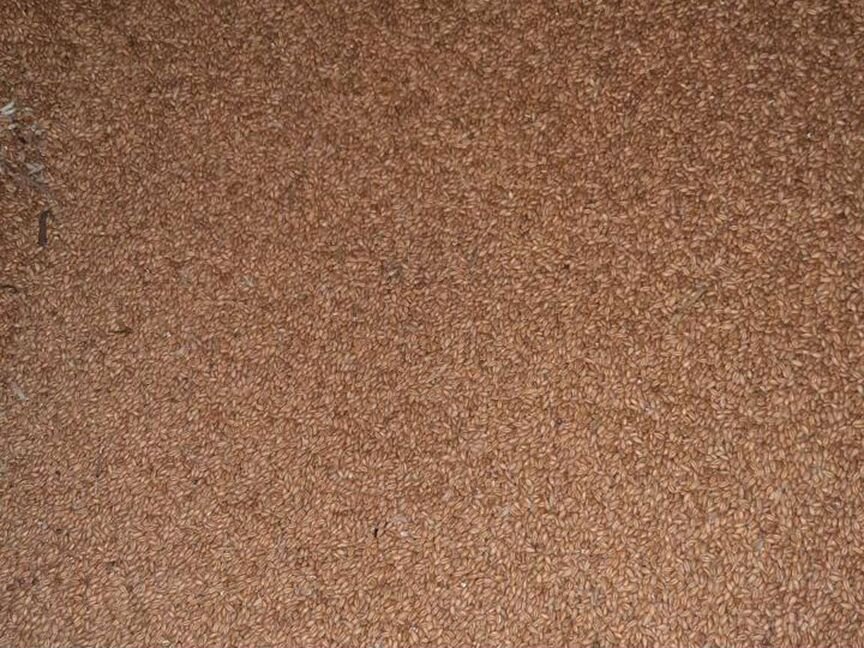 Комбикорма(Пшеница)