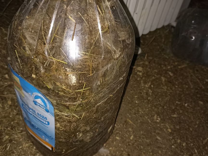 Канистра с куриным пометом