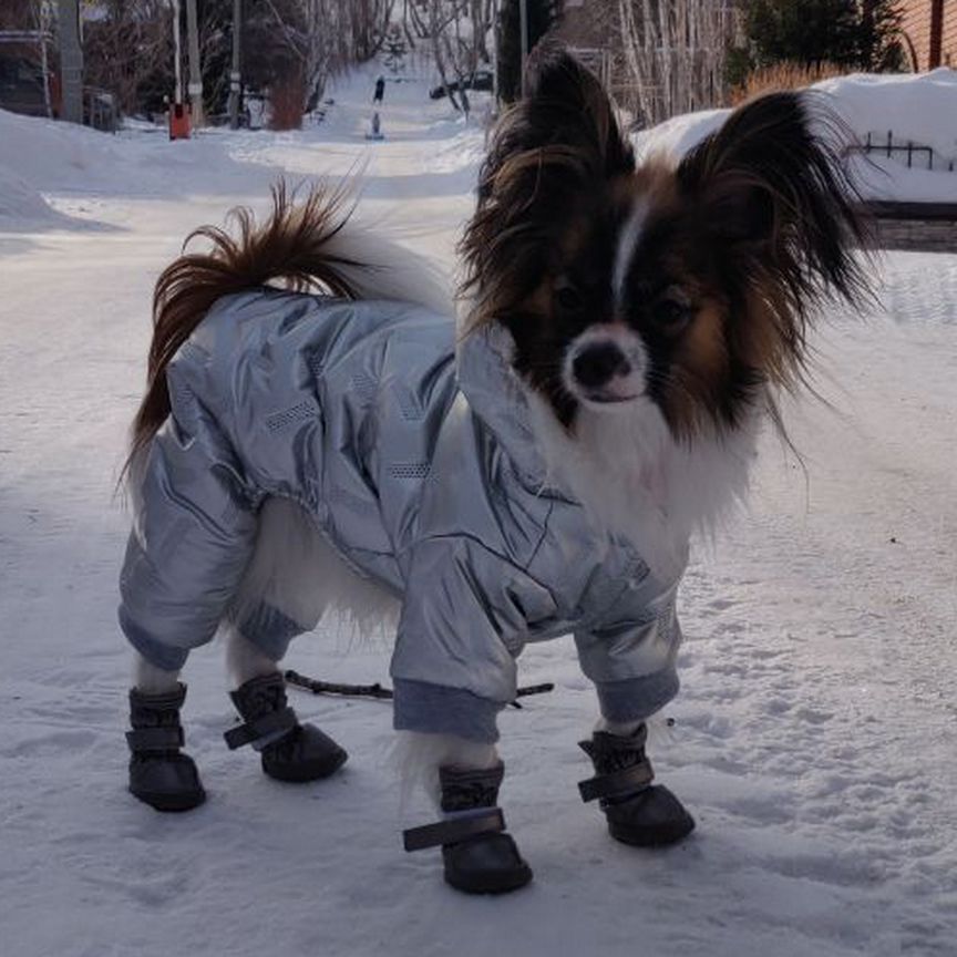 Комбинезон для собаки размер L