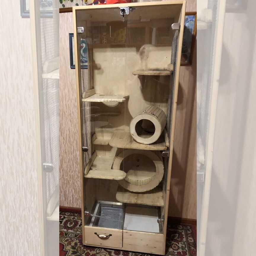 Витрина для шиншиллы
