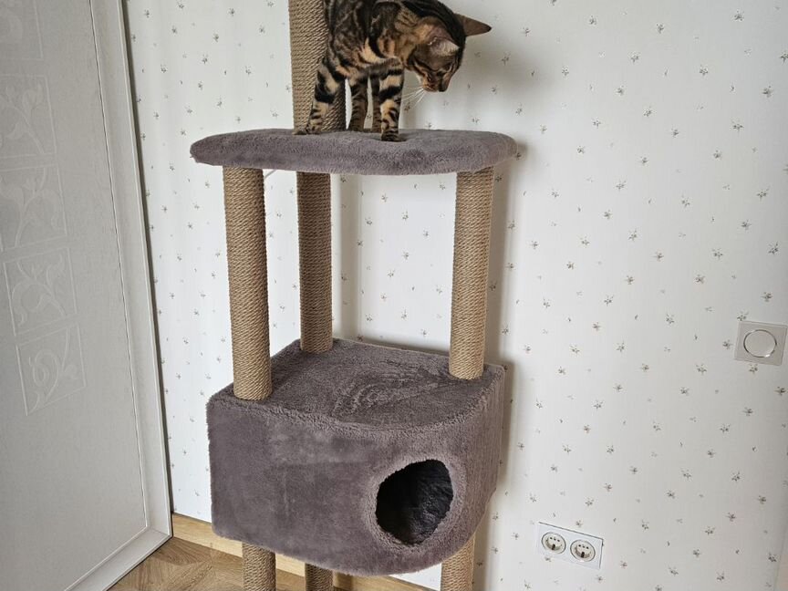 Когтеточка домик для кошек