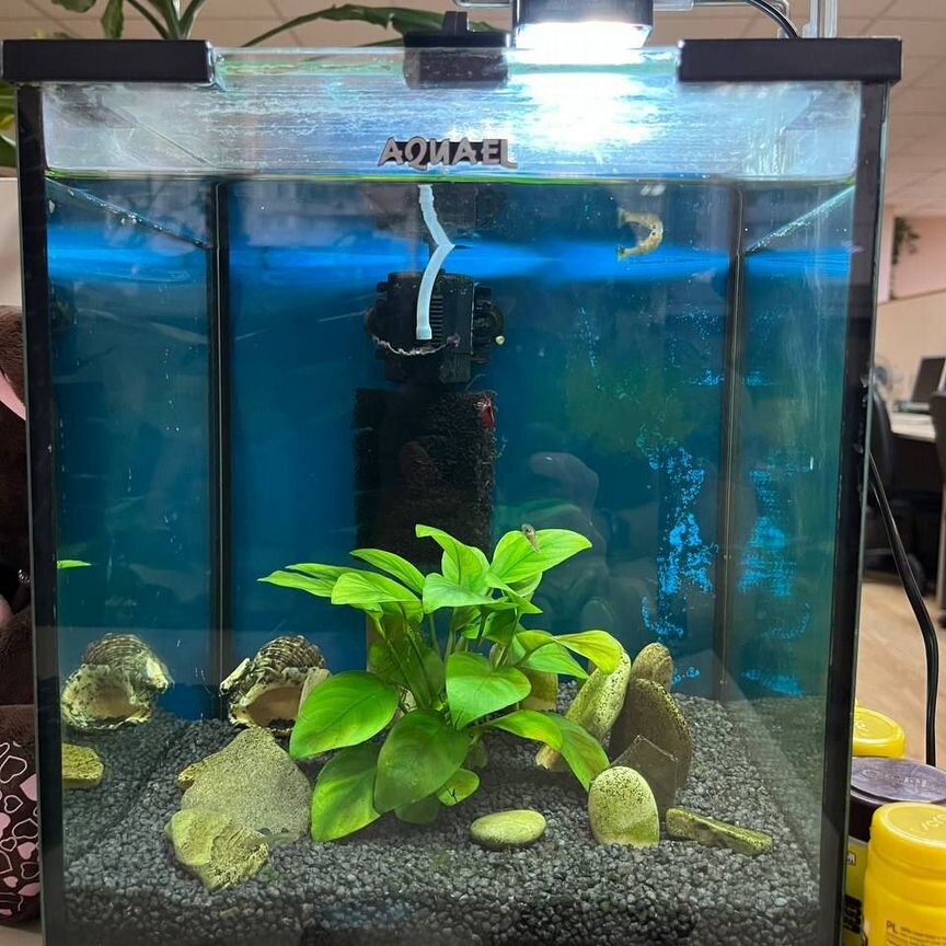 Аквариум 20 л с рыбками