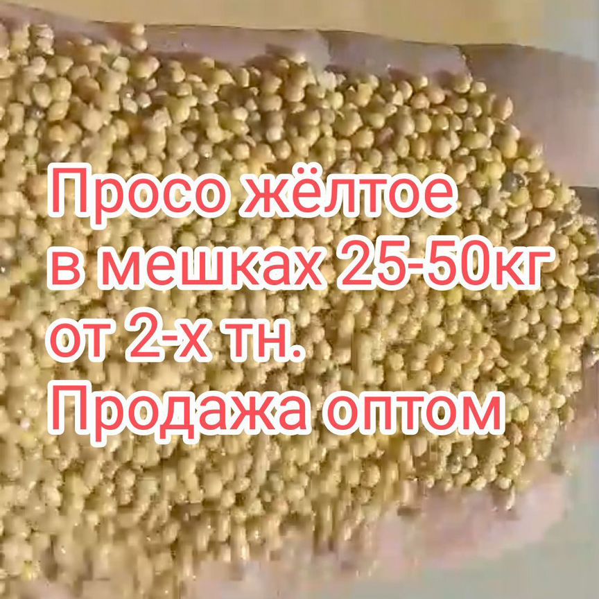 Просо жёлтое, корм для попугаев