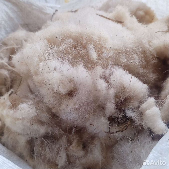 Шерсть овечья