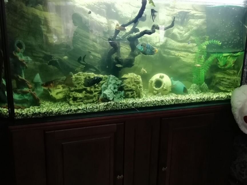 Аквариум 700 литров и 250 литров