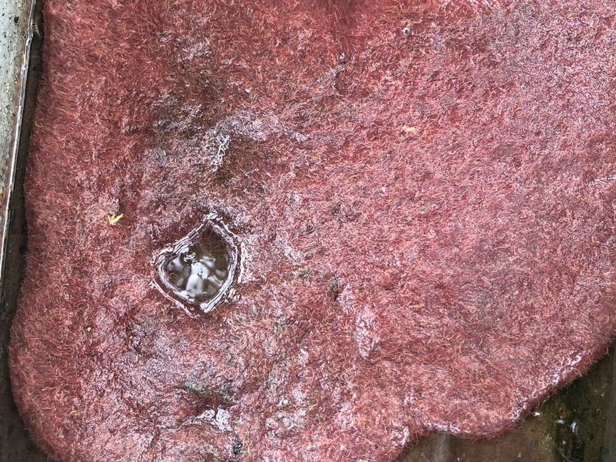 Продам трубочник