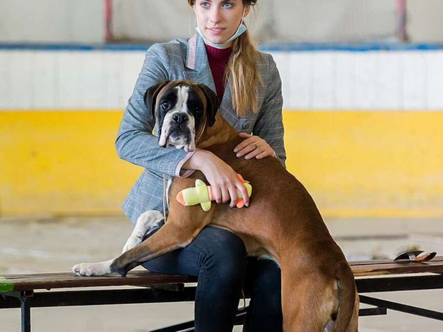 Боксёры Юниоры