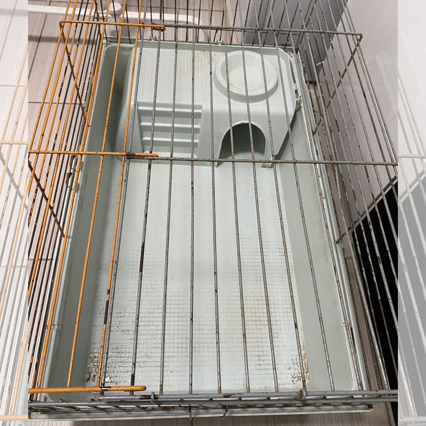 Клетка для грызунов, б/у