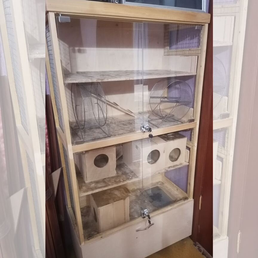 Витрина для грызунов