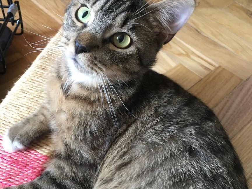 Тимоша 9 мес