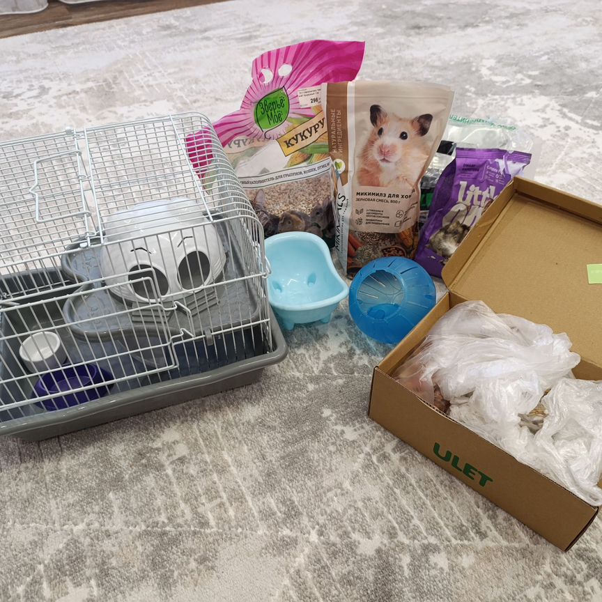 Клетка со всем необходимым для хомяка джунгарика