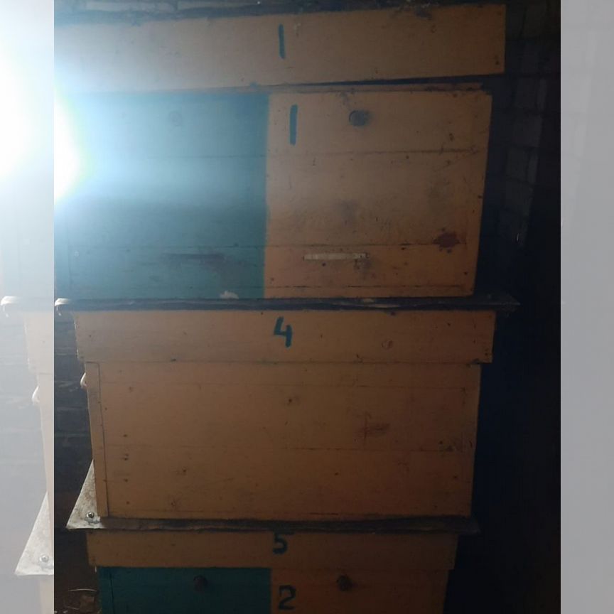 Зимние ульи