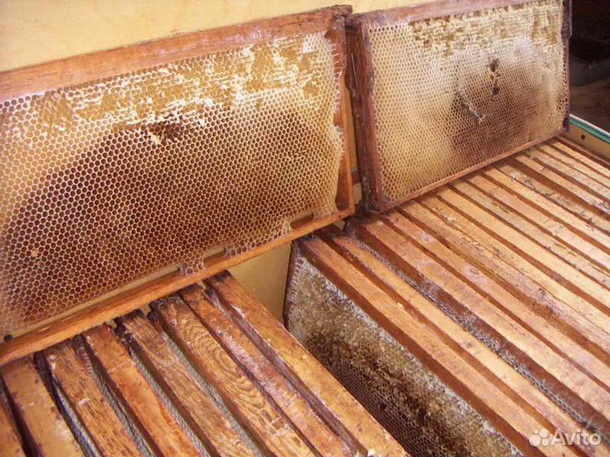 Сушь, рамки для пчел
