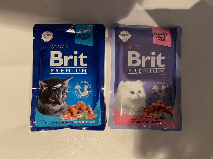 Влажный корм для котят Brit