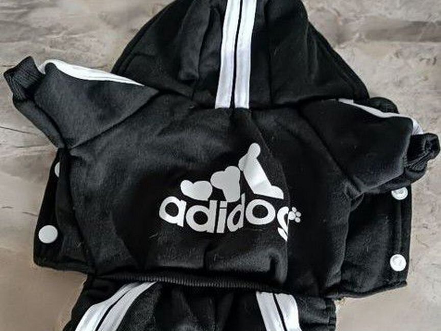 Костюм для собаки