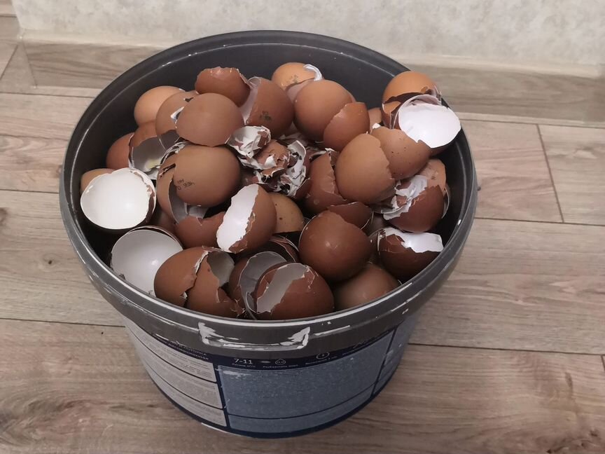 Продам скорлупу от куринных яиц 1кг