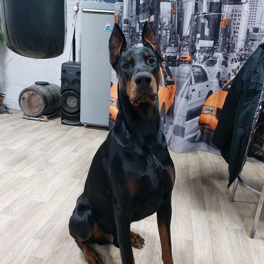 Знакомство для непродолжительных отношений