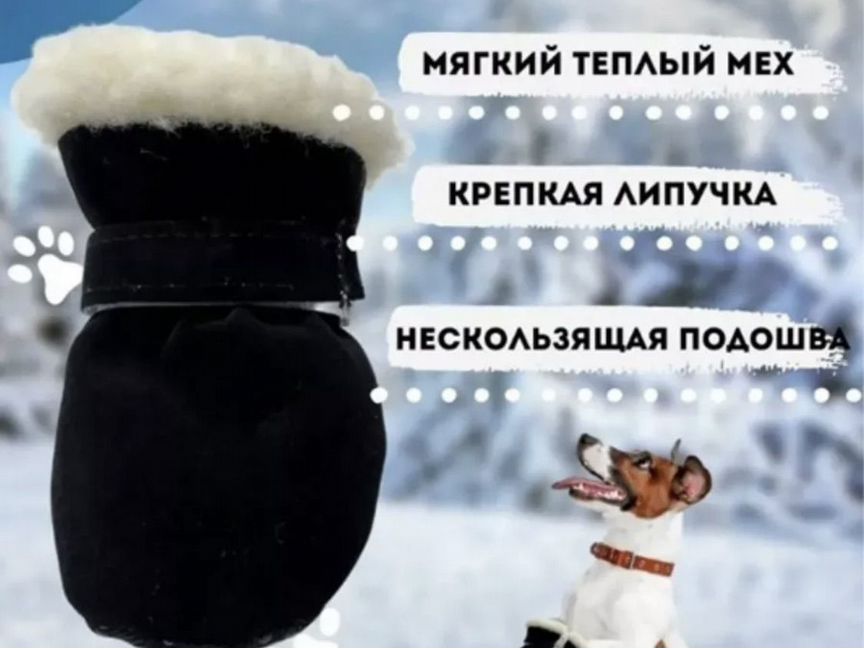 Обувь для собак