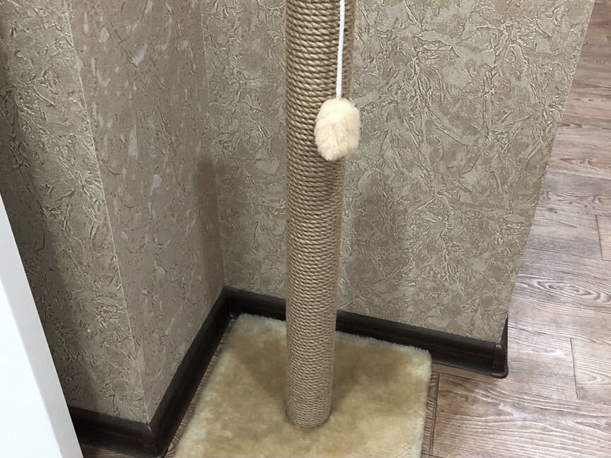 Когтеточка