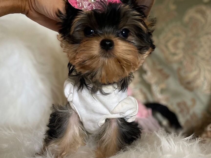 Кукольная мини девочка