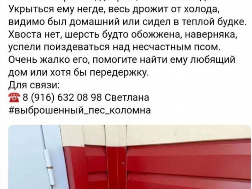 Собака
