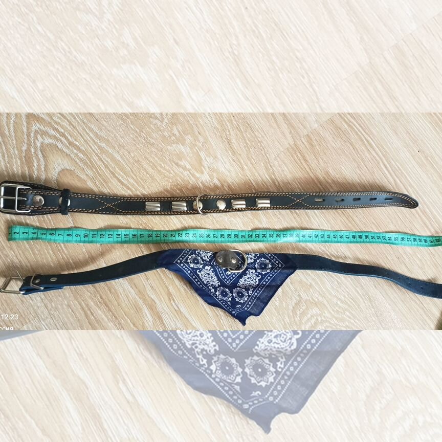 Ошейник, поводок, шлейка для собаки