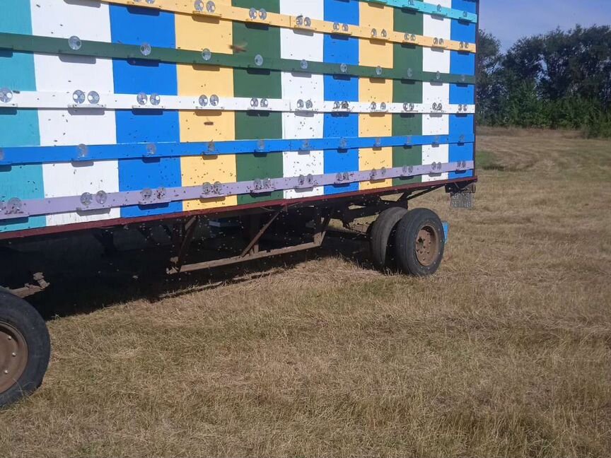 Пчелопавильон