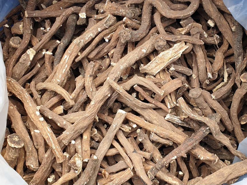 Корень одуванчика сушеный