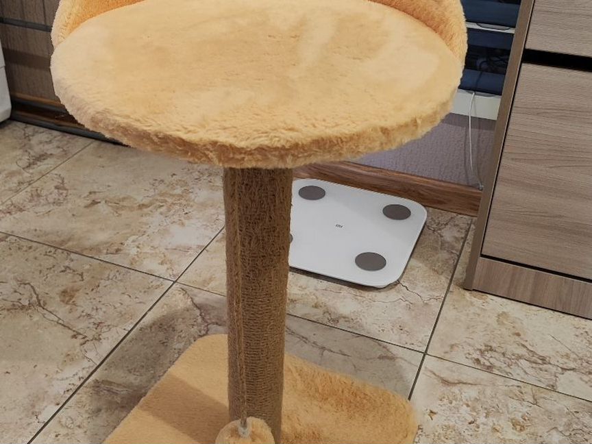 Когтеточка и лоток