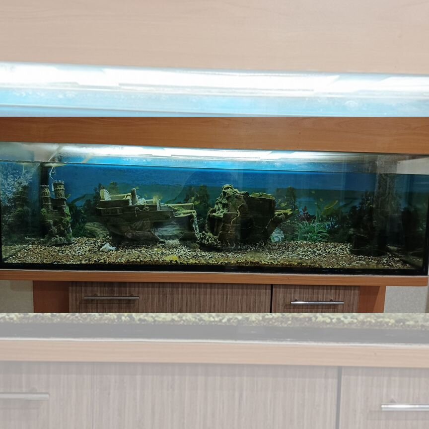 Аквариум