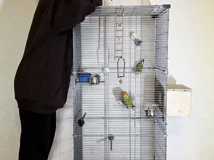 Большая клетка для птиц 125 см для попугаев корелл