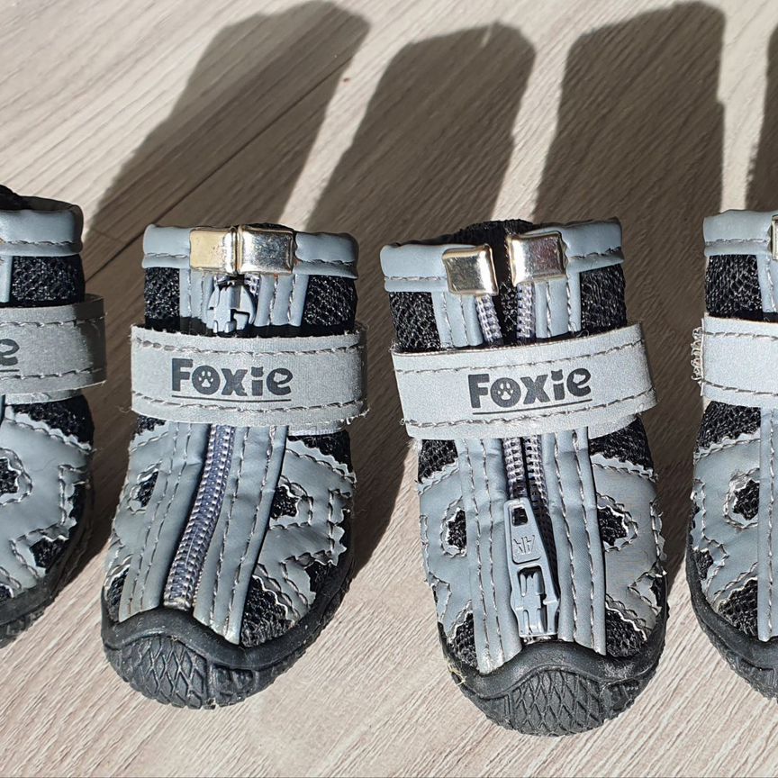 Ботинки для собак Foxie
