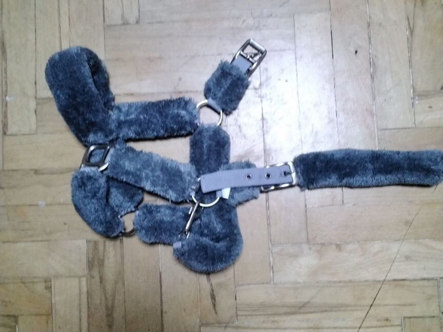 Недоуздок чит. Опис