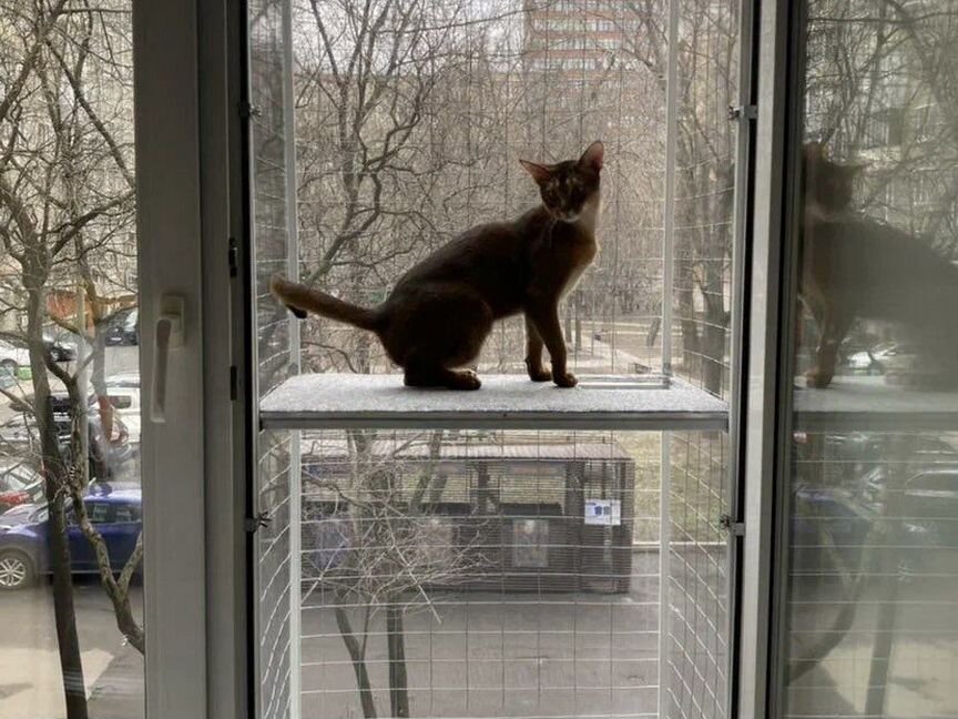 Балкон для кота, съемный