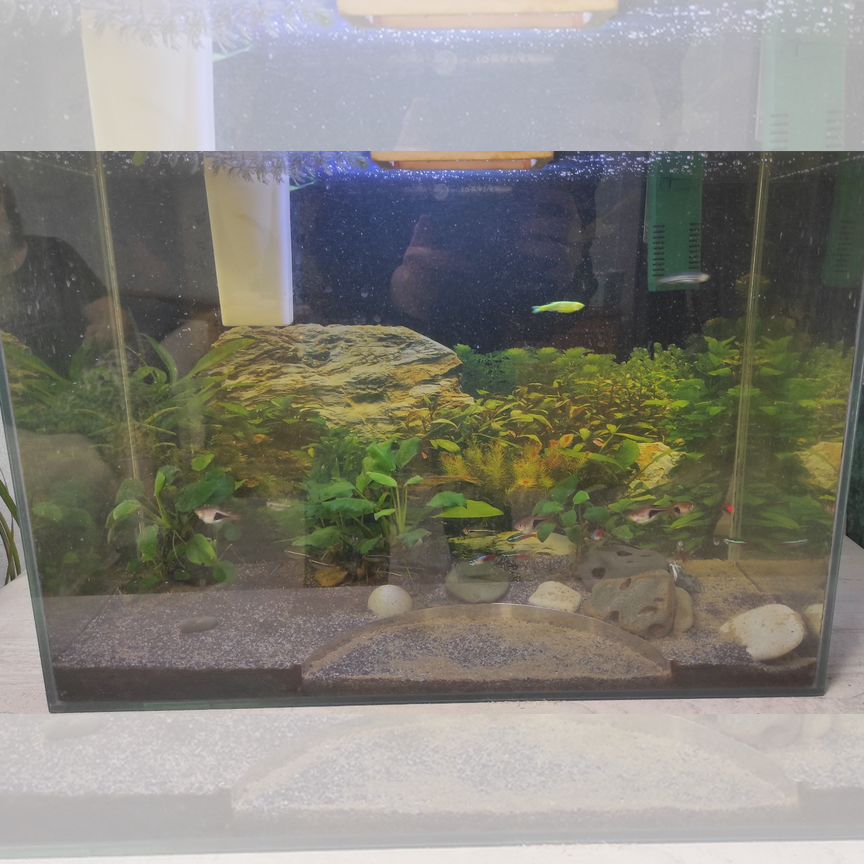 Аквариум - цена договорная