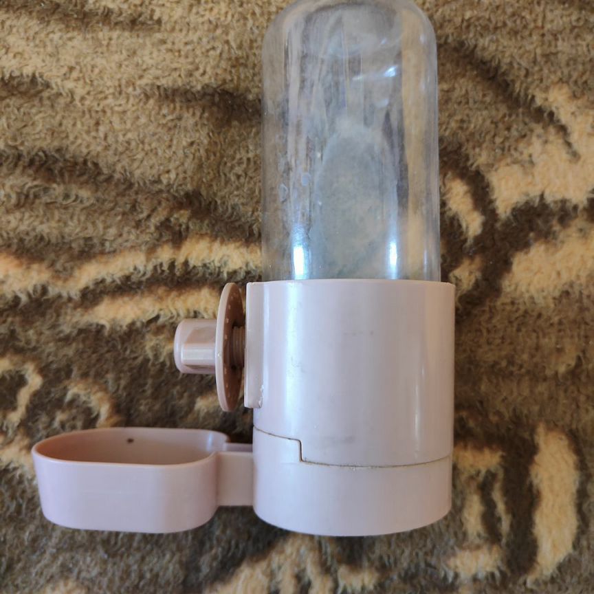 Нужности для попугая