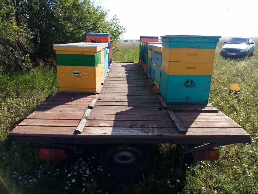 Пчелоплатформа