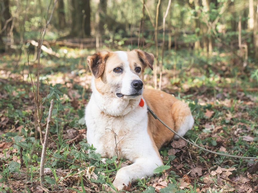 Вся жизнь Найды это приют. Ей 11 лет