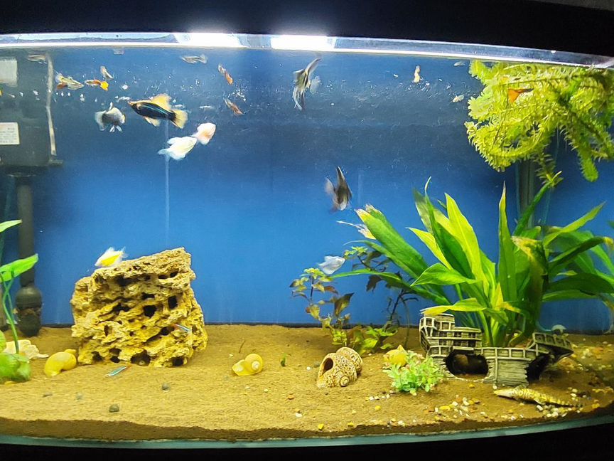 Украшение для аквариума