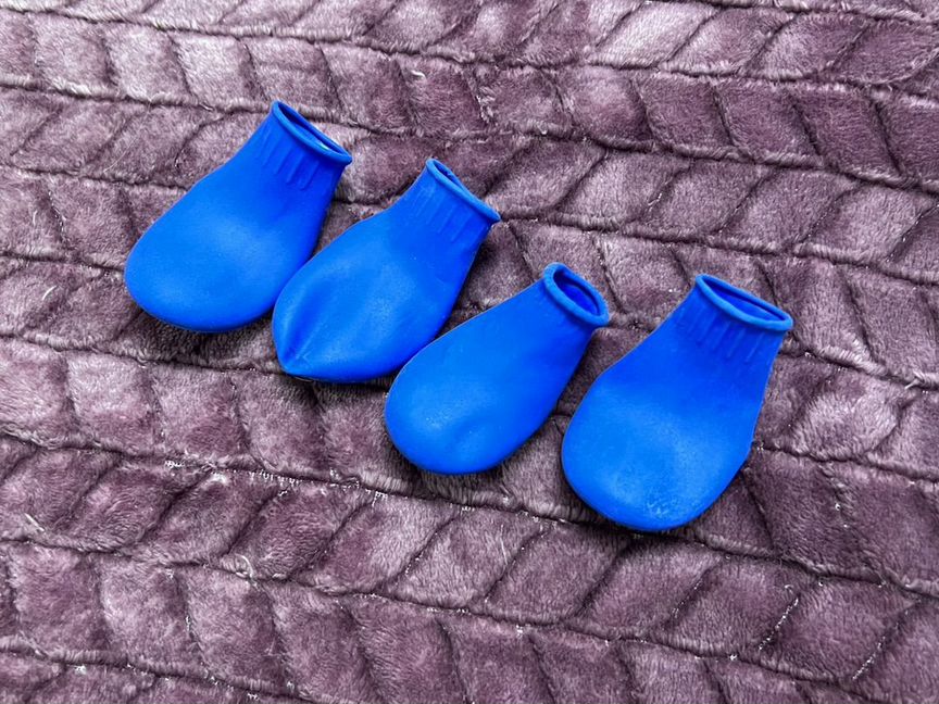 Ботинки для маленьких собак s резина