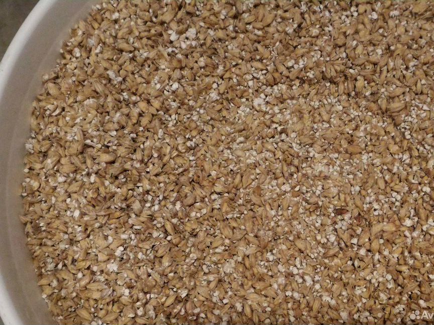 Дроблёнка пшеничная