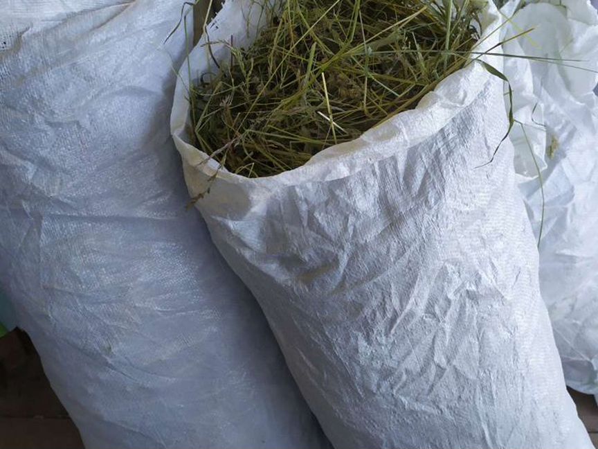 Сено разнотравье в мешках