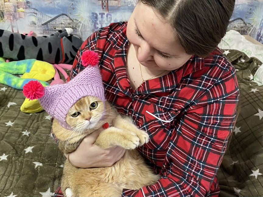 Шапочки для кошек и собак