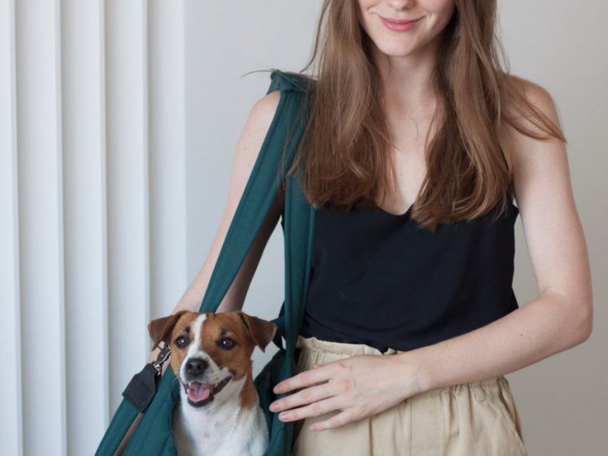 Сумка-переноска для собак