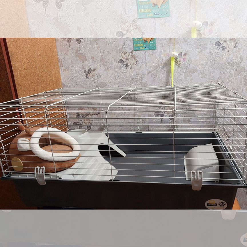 Клетка для кролика,морских свинок