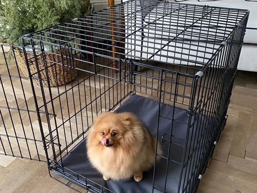 Клетка для собак