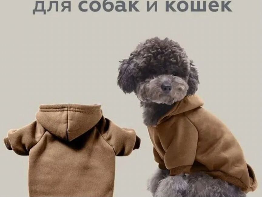 Кофта для собак