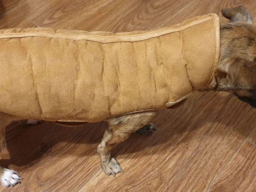 Попона для собак