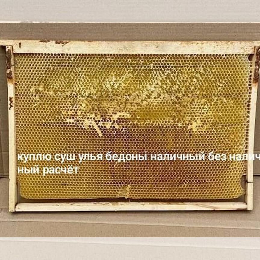 Рамка сушь для пчел