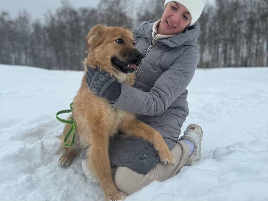 Вот такое милое облачко живет в приюте и ждет